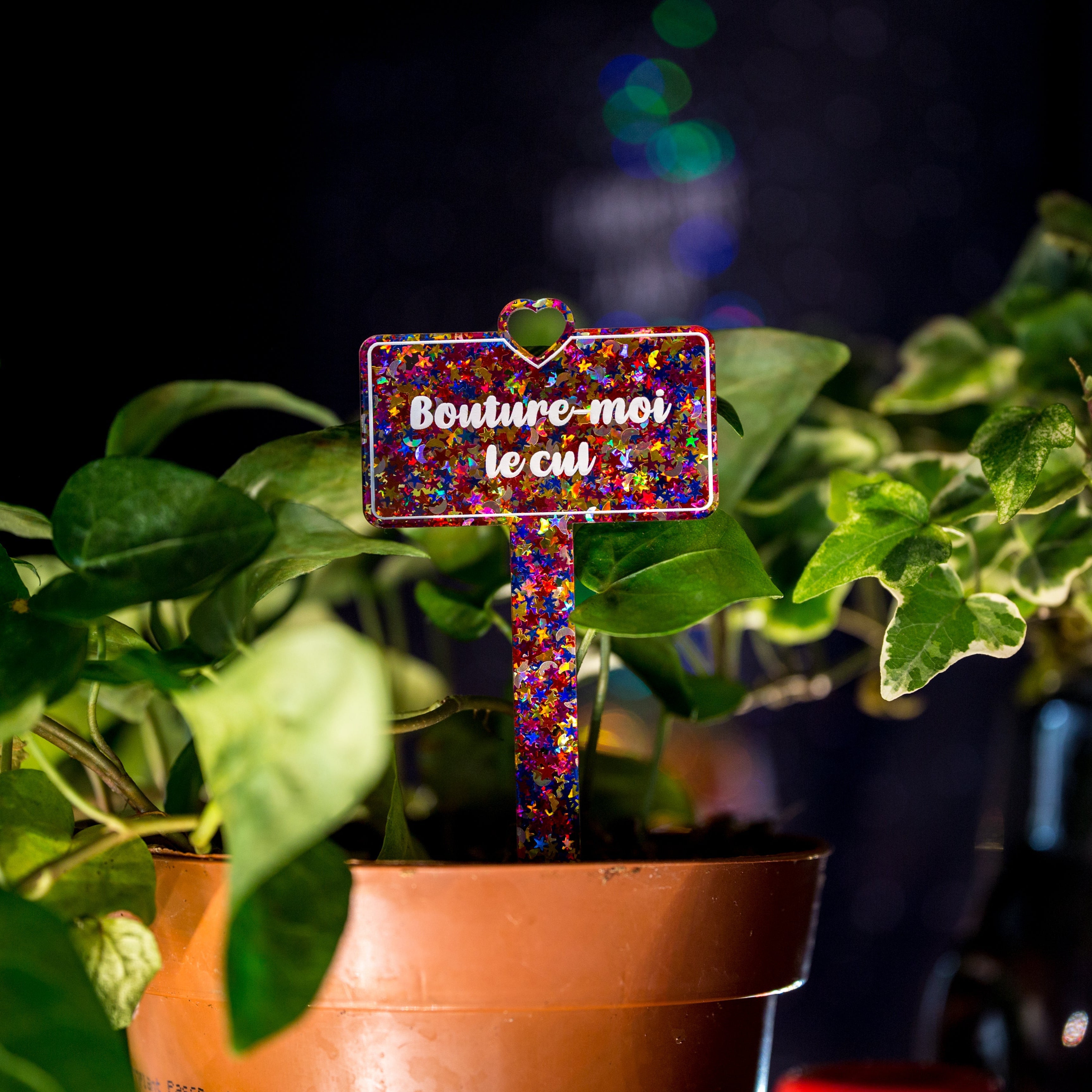 [CONTRÔLE TECHNIQUE] Pic à plante "Bouture-moi le cul" en acrylique tr ...